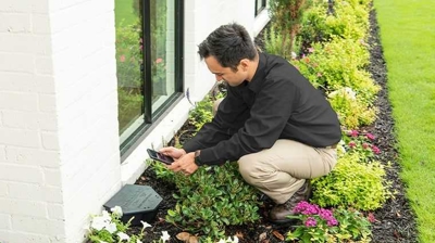 Home Pest Control In Glendale, AZ | Protection Termite Control