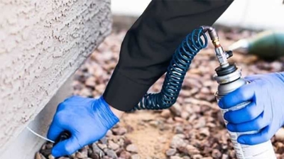 Termite Control In Glendale, AZ | Protection Termite Control